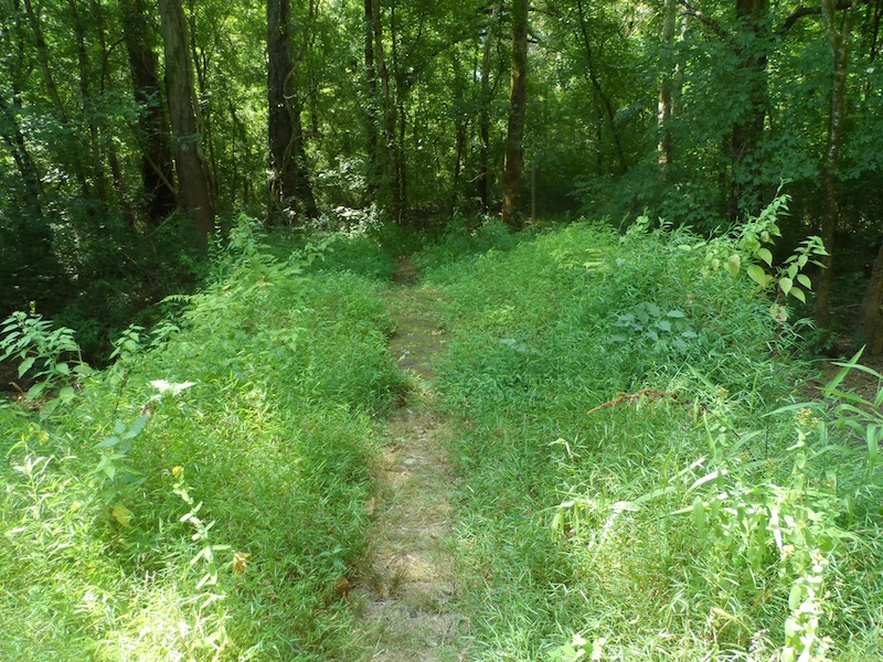 Ghosts of the Oconee: Inside the Scull Shoals Ruins – Wander Woman