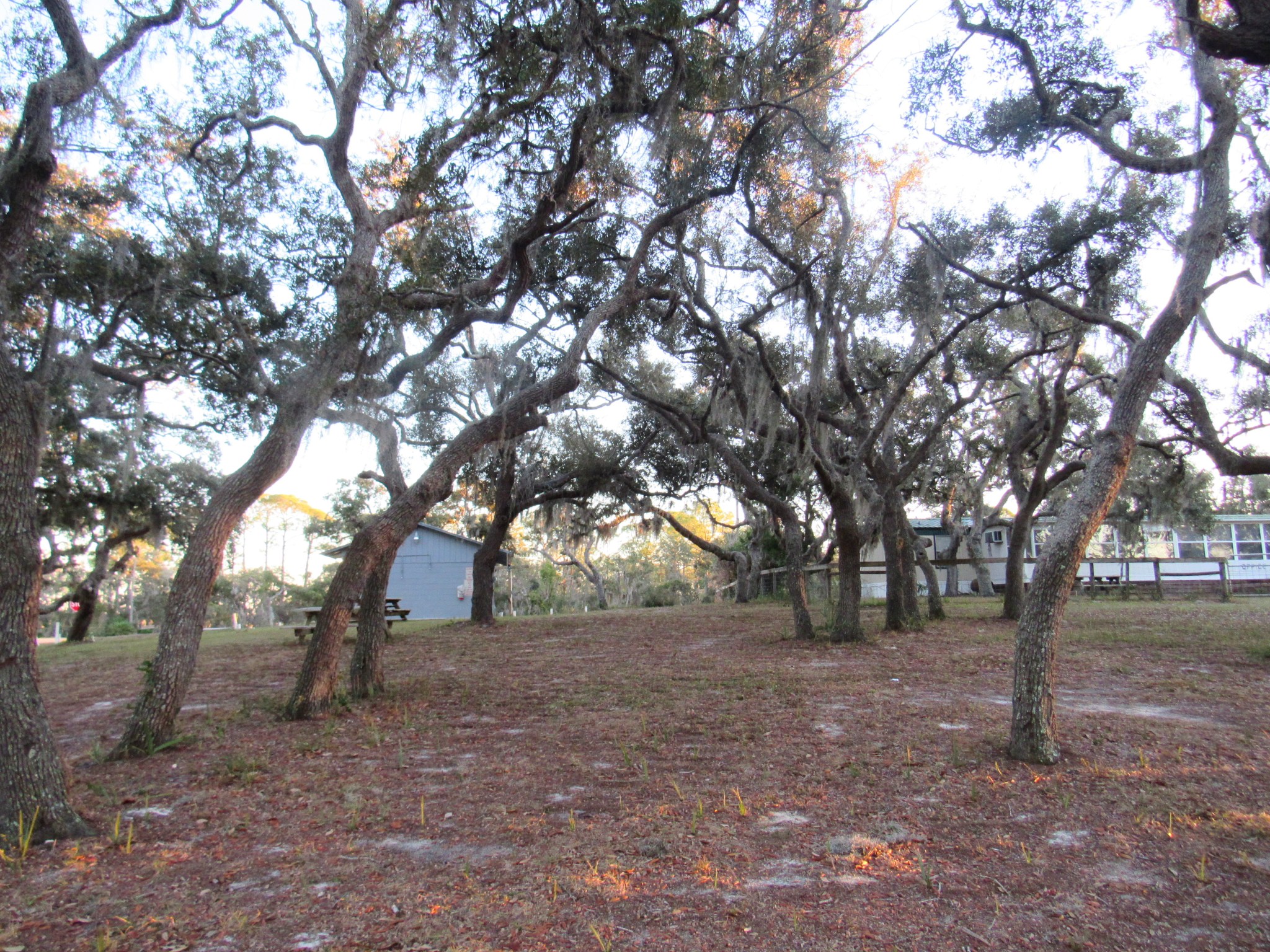 Where the Road Ends: Shell Mound Campground – Wander Woman
